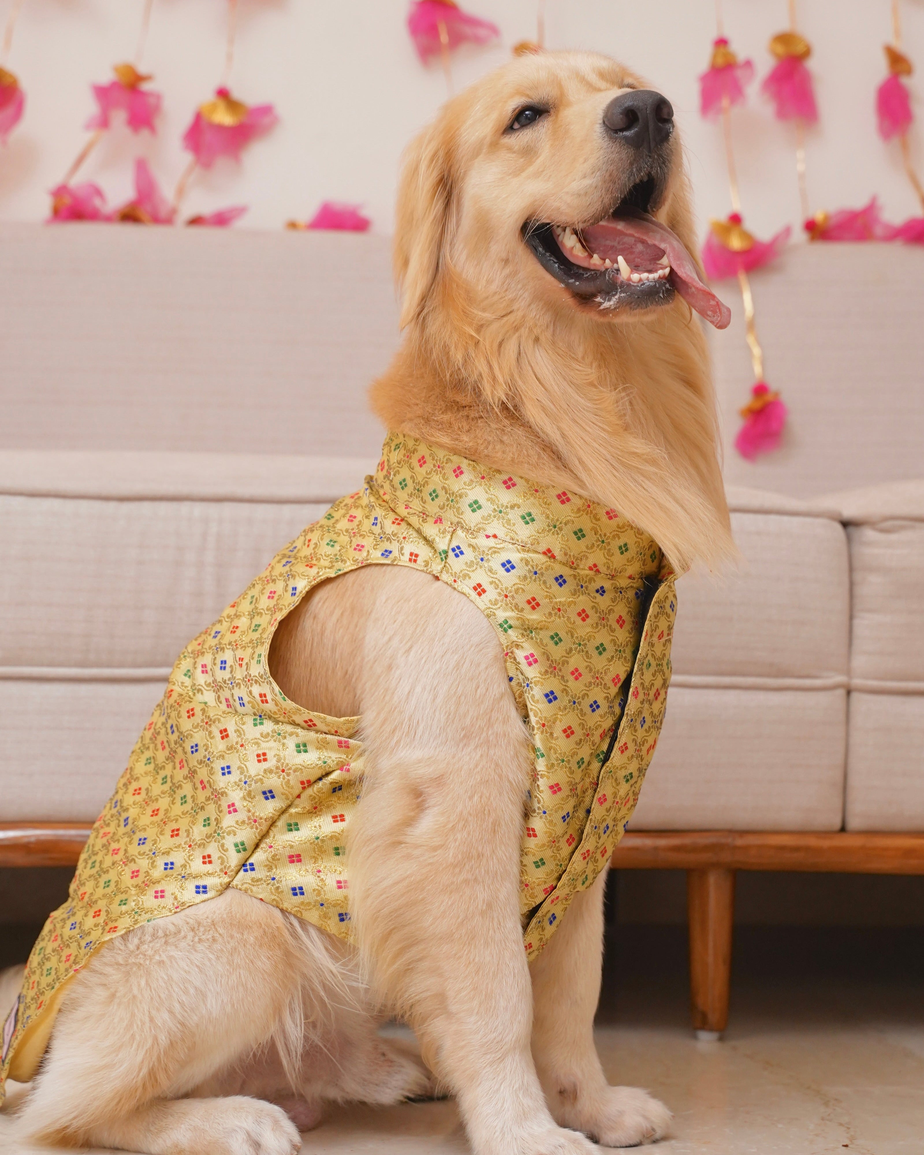 Golden zari Bandhgala – Furrvanity